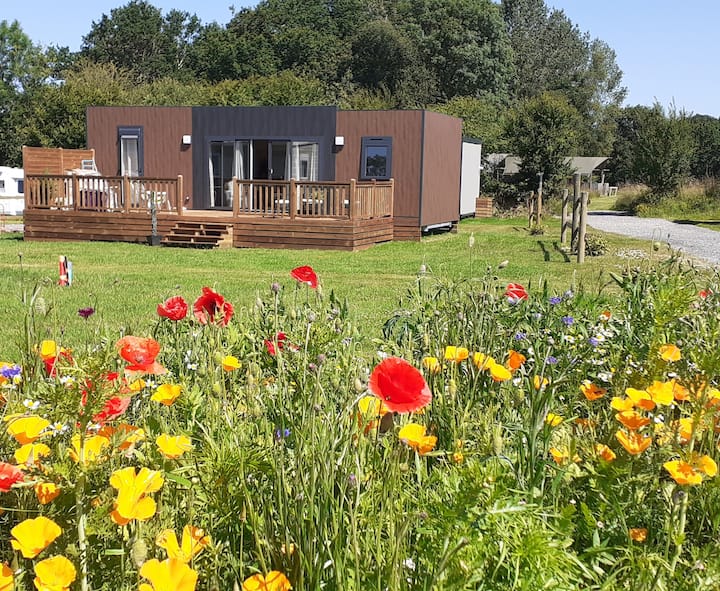 Charmant Cottage Avec Piscine  Près De Granville ! - Granville