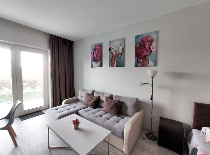 K-town *Apartment Viabaltica 3* - Kaunas
