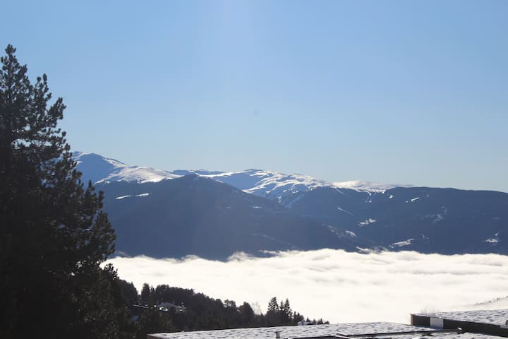 Au-dessus Des Nuages, Dans La Forêt - Pyrénées-Orientales