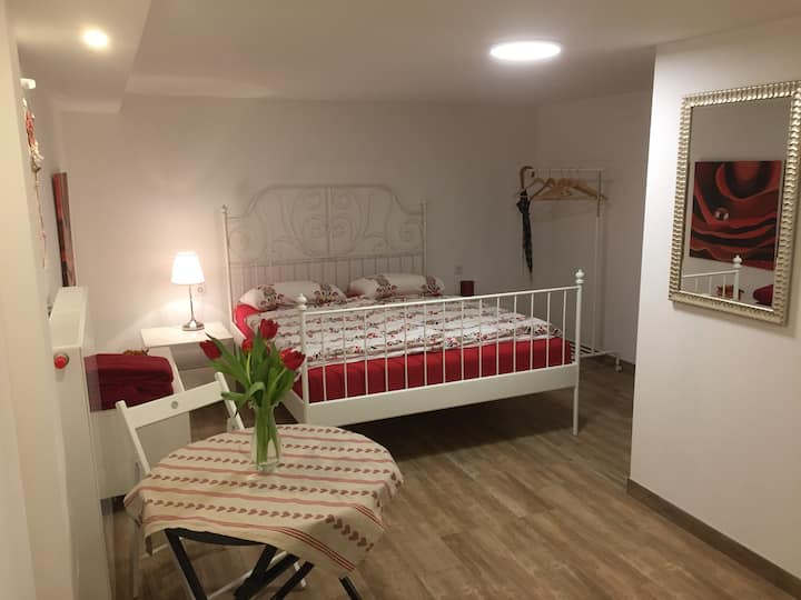 Apartment Am Biebricher Schloss - Wiesbaden