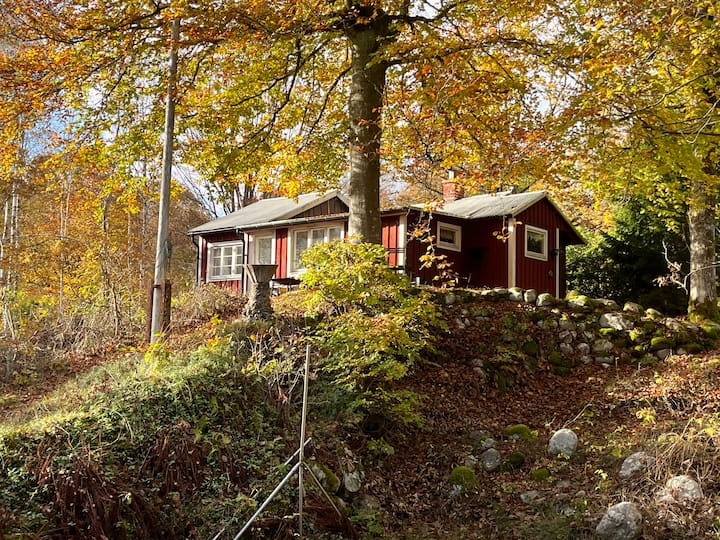 Idyllisk Skovhytte Direkte Til Sø, Magisk Søudsigt - Perstorp