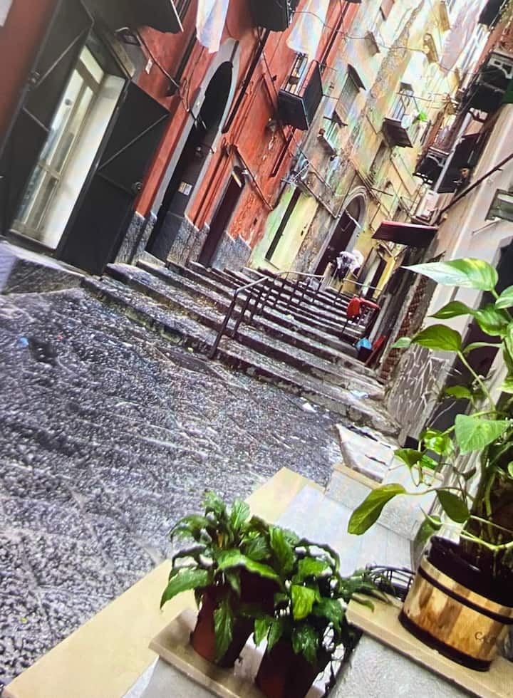 Casa Mari' Centro Storico Vicino Hotel Caracciolo - Naples