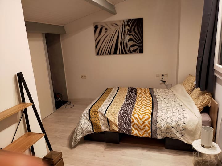 Logement Indépendant Centre Fenouillet - Fenouillet