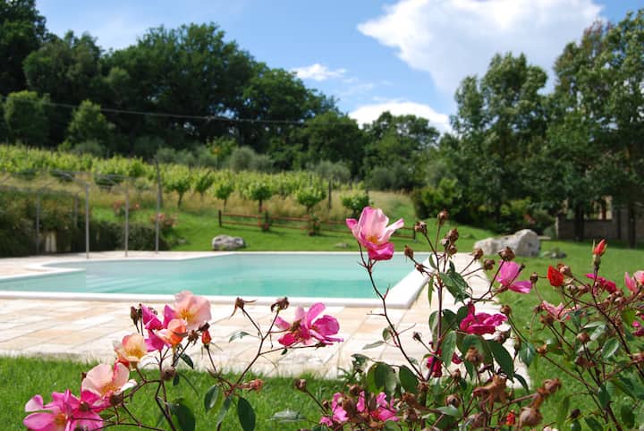 Orvieto, Villa With Jazz And Panoramic Pool - Orvieto