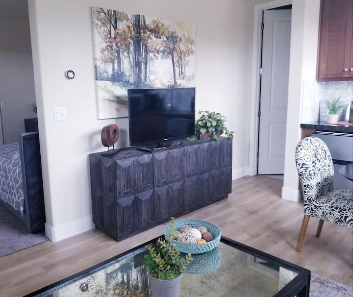 Cozy Modern Guest Suite With Private Entrance - Citrus Heights, CA