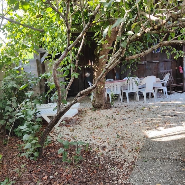 Venez Profiter De Cet éTé Maison Pour 7 Personnes - Lacanau