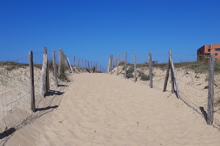 T2 Capbreton Plage Santocha - Soorts-Hossegor