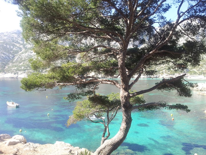Studio Proche Calanques Luminy - Marseille