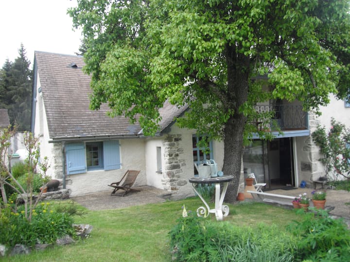 Maison Pyrénéenne Au Pied Du Col D'aspin - La Mongie