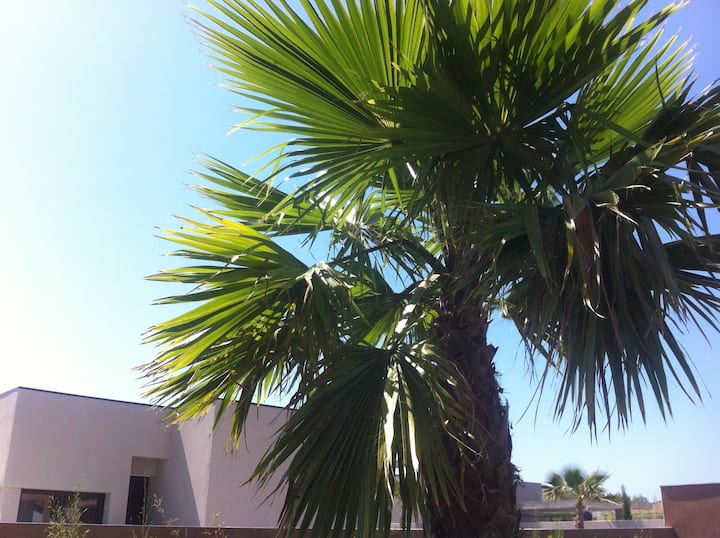 Belle Villa: Plage, Jardin, Parking - Agde