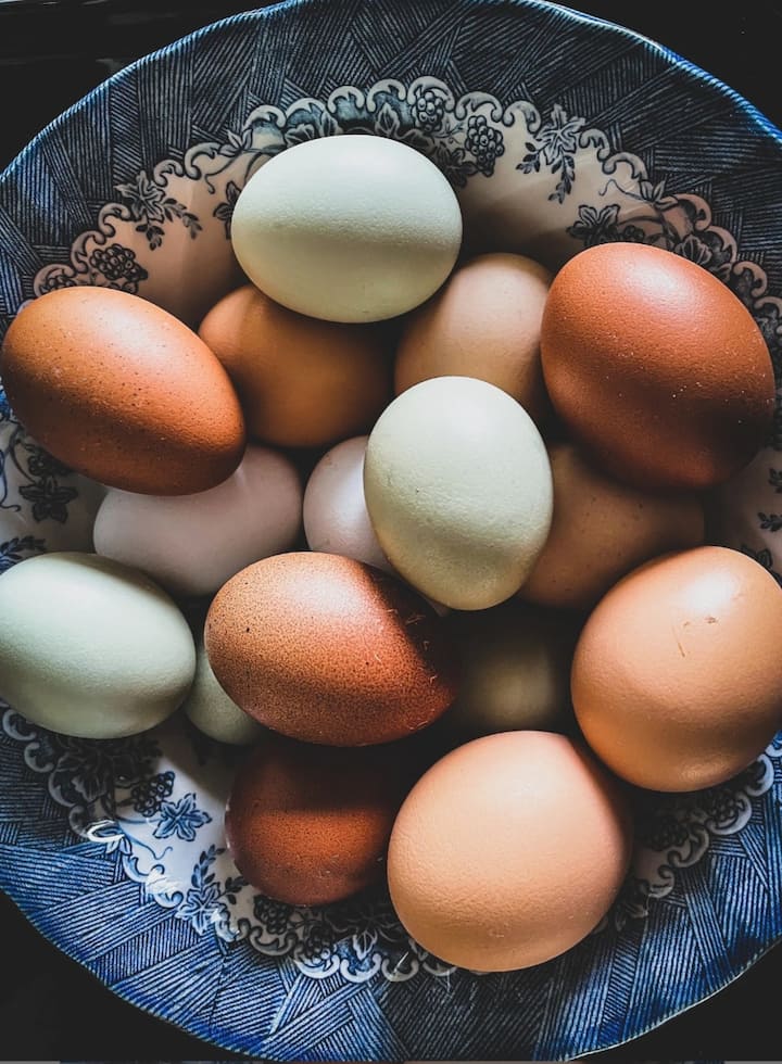 Private 2 Bedroom 2 Bathroom Whole Home In Tampa - Tampa, FL