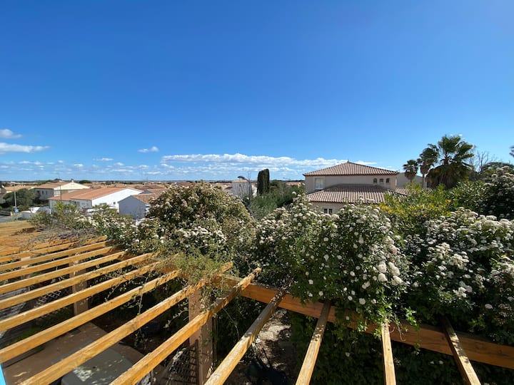 Jasmin - Gîtes Les Volets Bleus - Villeneuve-lès-Maguelone