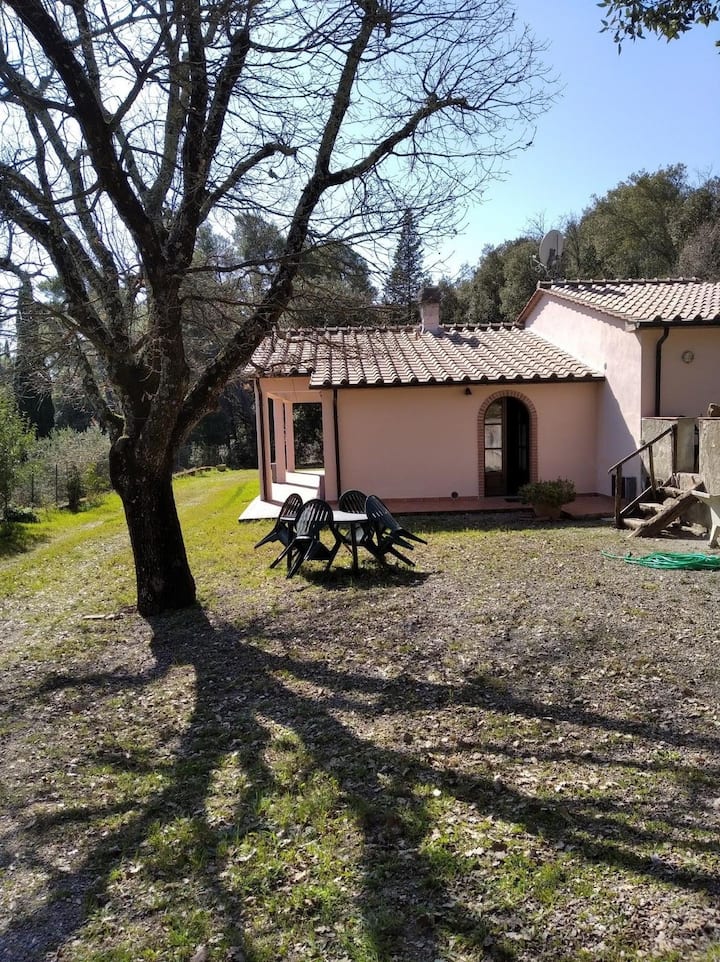 Casa Di Guido Villetta  Tipica Toscana. - Castagneto Carducci