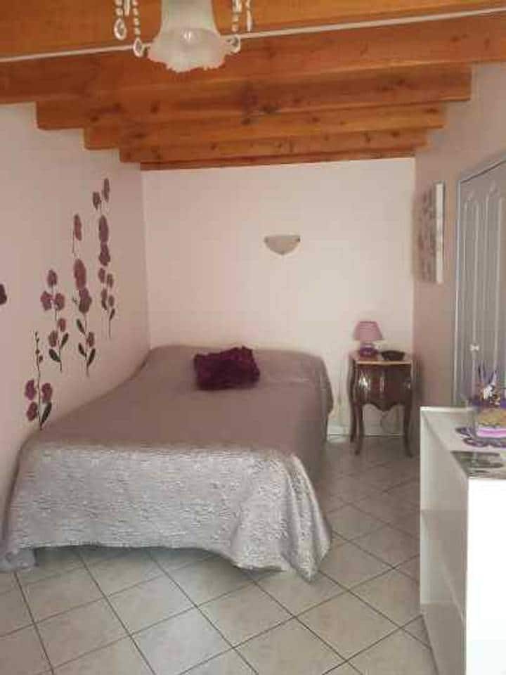 Studio Orchidees - Saumur