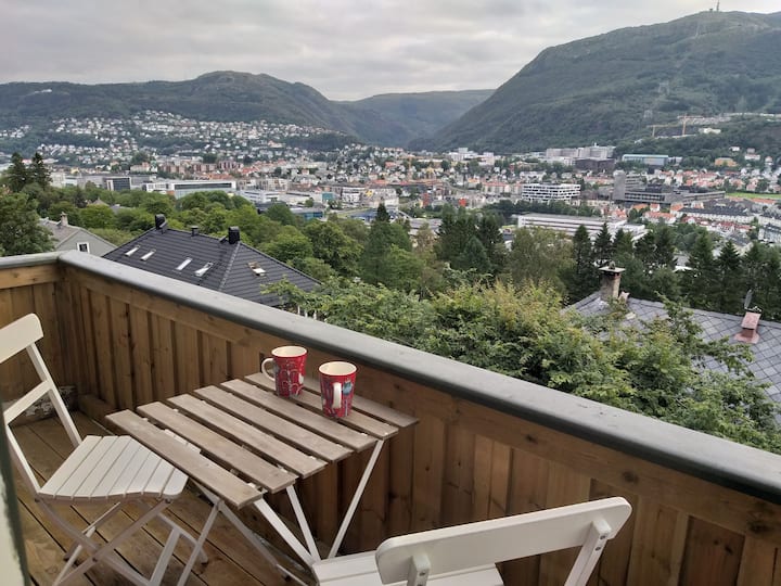 Sjarmerende Leilighet, Med Fantastisk Utsikt - Aéroport de Bergen (BGO)