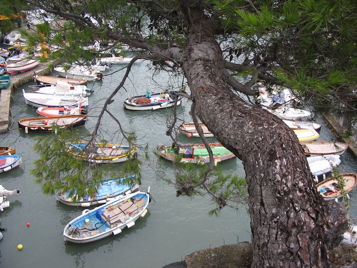 Monolocale A Monterosso - Citr: 011019-lt-0537 - Monterosso al Mare