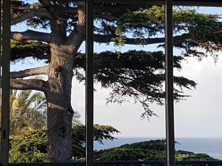 Romanticannes - Cannes