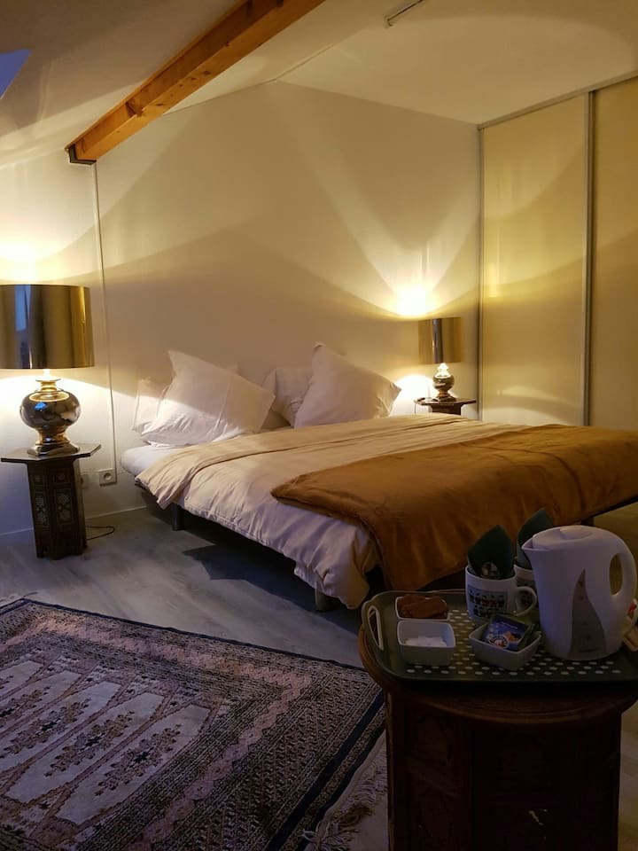 Chambre Aux Portes De Genève - 