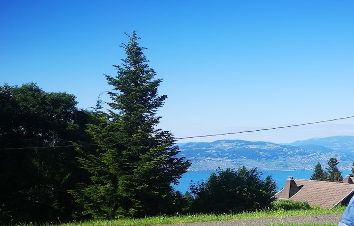 Studio Cœur De Station / Vue Sur Lac - Thollon-les-Mémises