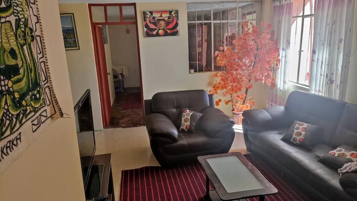 Comodo Departamento A 3 Cuadras Del Centro De Puno - Puno