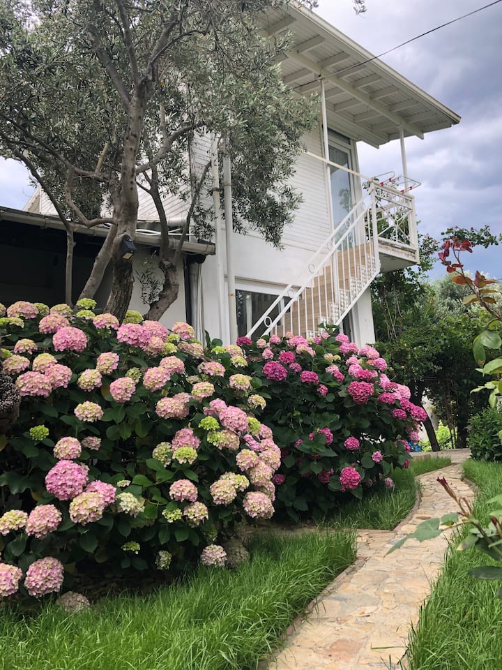 Denize Sıfır Masal Pansiyon Marmara Adası.2 - Авша