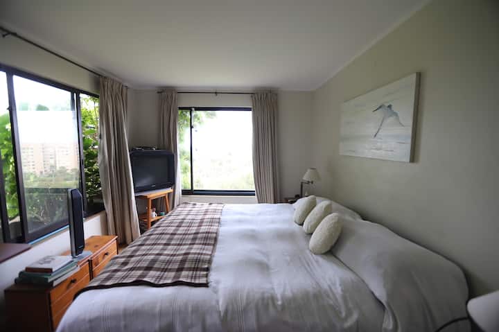 1) Great Dpt Bed & Breakfast(b&b) Suite Muy Amplia - Santo Domingo, Chile