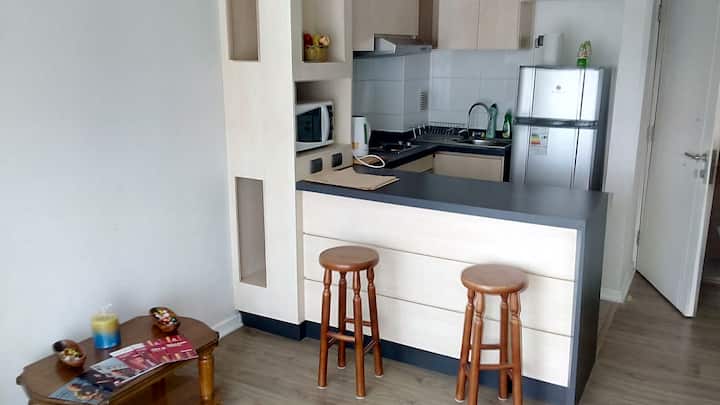 Excelente Ubicacion Cerca Del Centro Y La Playa. - La Serena