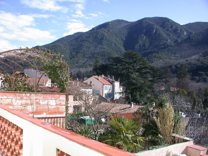 Appartement4* Entre Mer Et Montagne - Arles-sur-Tech