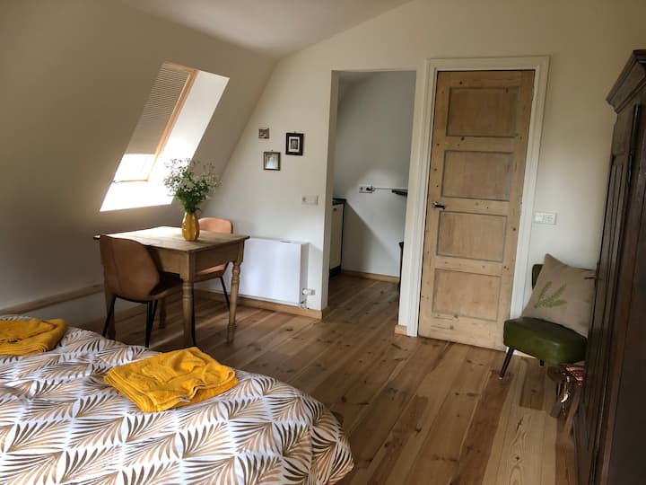 Studio 'Oost', Met Kitchenette En Badkamer - Tiel