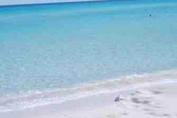 Logement Pieds Dans L'eau - Mahdia
