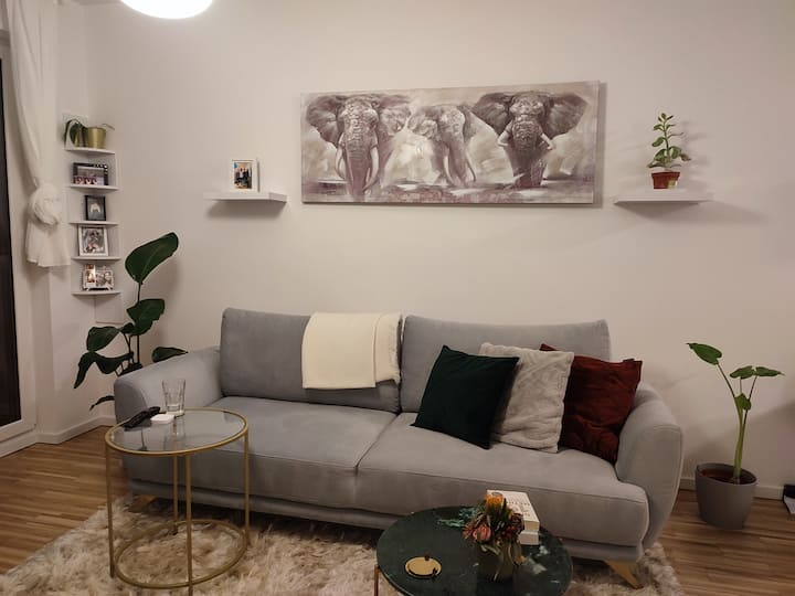 Modern & Gut Ausgestattet - Bonn