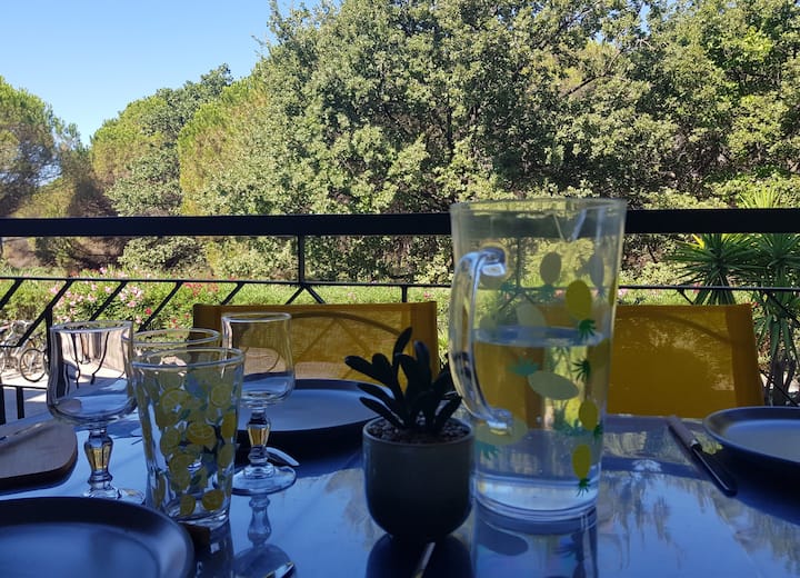 Charmant T2 Cabine Mer100m Clim Wifi Pinède Garage - La Londe-les-Maures