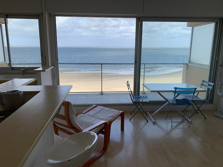 Lumineux Appartement Renové En Premiere Ligne - Arcachon