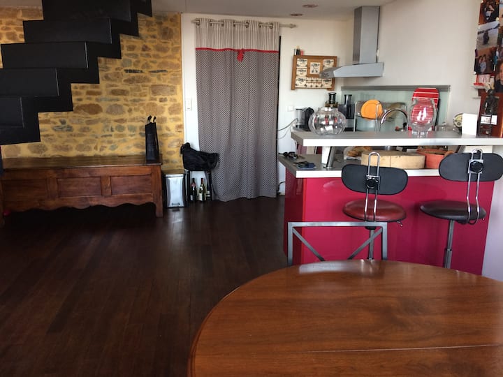 Appartement Duplex Vue Et Emplacement Uniques - リヨン