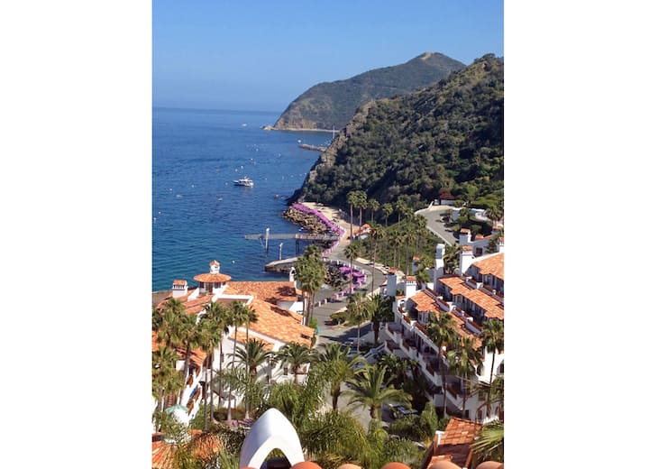 H1869: Stunning 2bd Villa, Views, Golf Cart - Avalon, CA