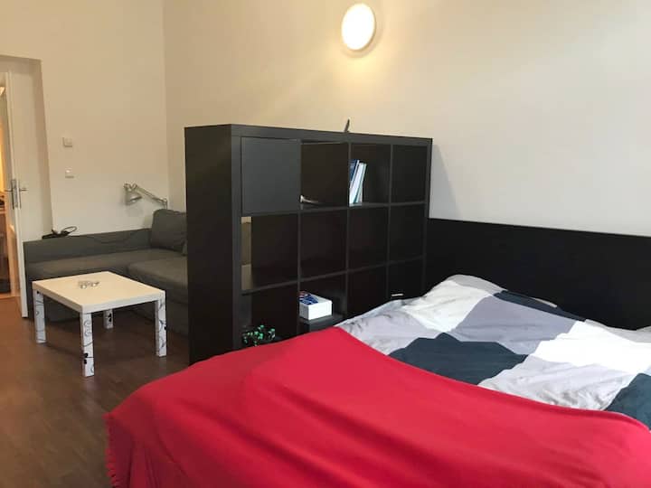 Lidicka Cosy Apartment - Praga