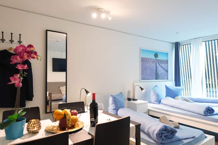 Comfortable 1.5 Room Apartment Museggmauer Ii - Lucerne