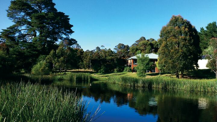 Frogspark - High Country Escape - Oberon