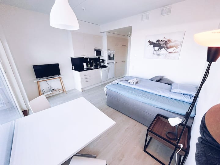 New Studio Furi Near Airport - Espoo