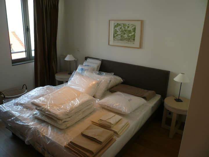 J303 Rue Jourdan - Ixelles