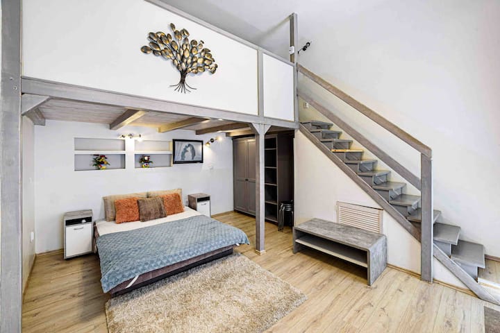 Downtown+ac+6 Ppl-d - Budapest