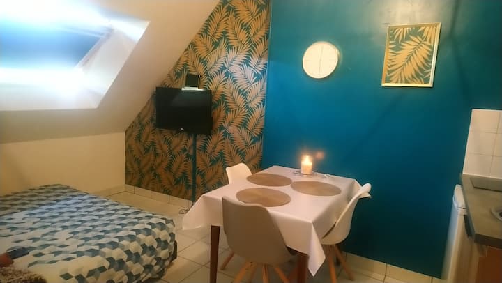 Studio/chambre Meublé, Quartier Résidentiel - Larmor-Plage