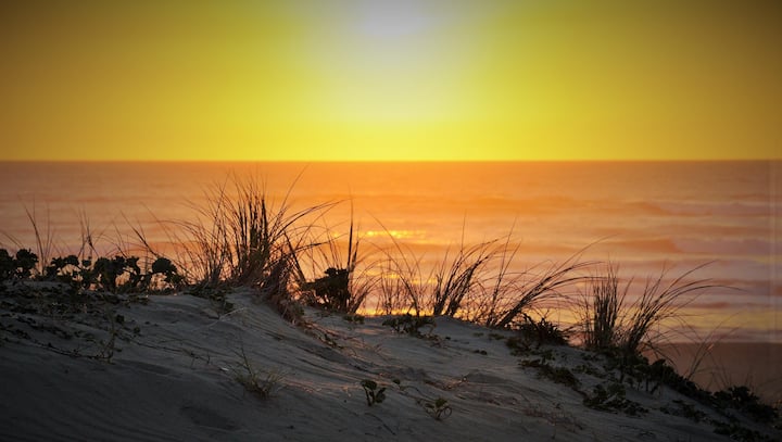 Agréable Appartement Au Cœur Du Golf De Moliets - Moliets-et-Maa