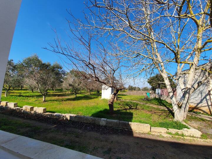 Gallipoli, Vicina Casa Nelle Campagne Del Salento! - Matino