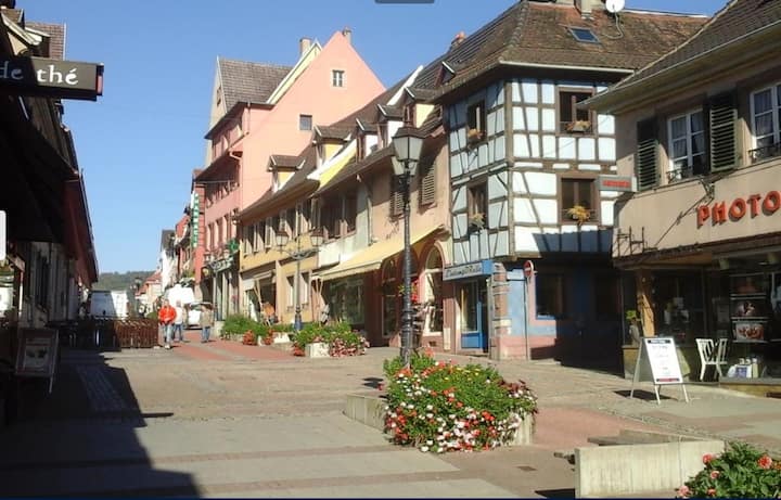Maison Bleue - Marmoutier
