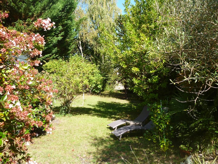 Studio 35 Mt2,  Proche Chu-fac-centre De Bordeaux - Mérignac