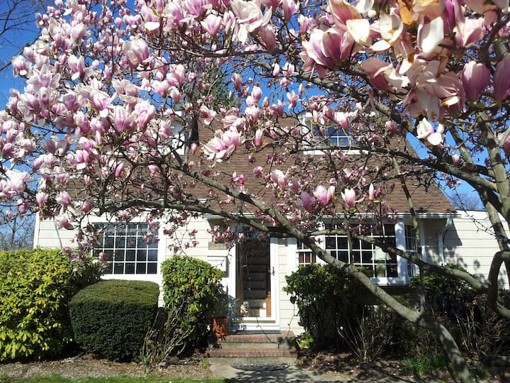 Fully Private Studio Apt In Li Ny! Near Lirr - État de New York