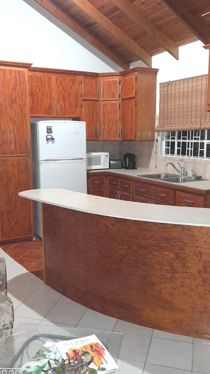 Andrea's Comfy, Cozy Apartment #2 - Barbados