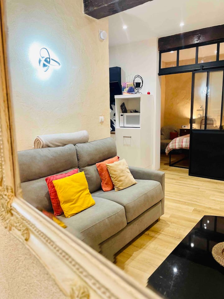 Au Pied Du Pont D’avignon * 4 Pers-tv/wifi/clim * - Villeneuve-lès-Avignon