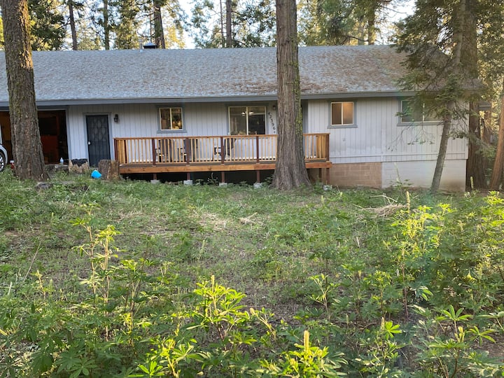 Deck Life Is The Best Life - Shaver Lake, CA